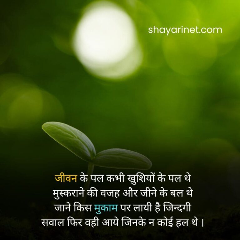 Best 175+ Shayari on life | शायरी आपके जीवन की । | https://shayarinet ...