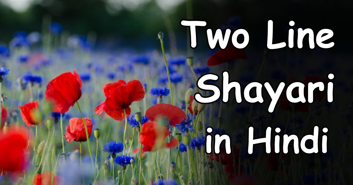 Best 150+ Two line shayari in hindi | टू लाइन हिंदी शायरी । | https ...